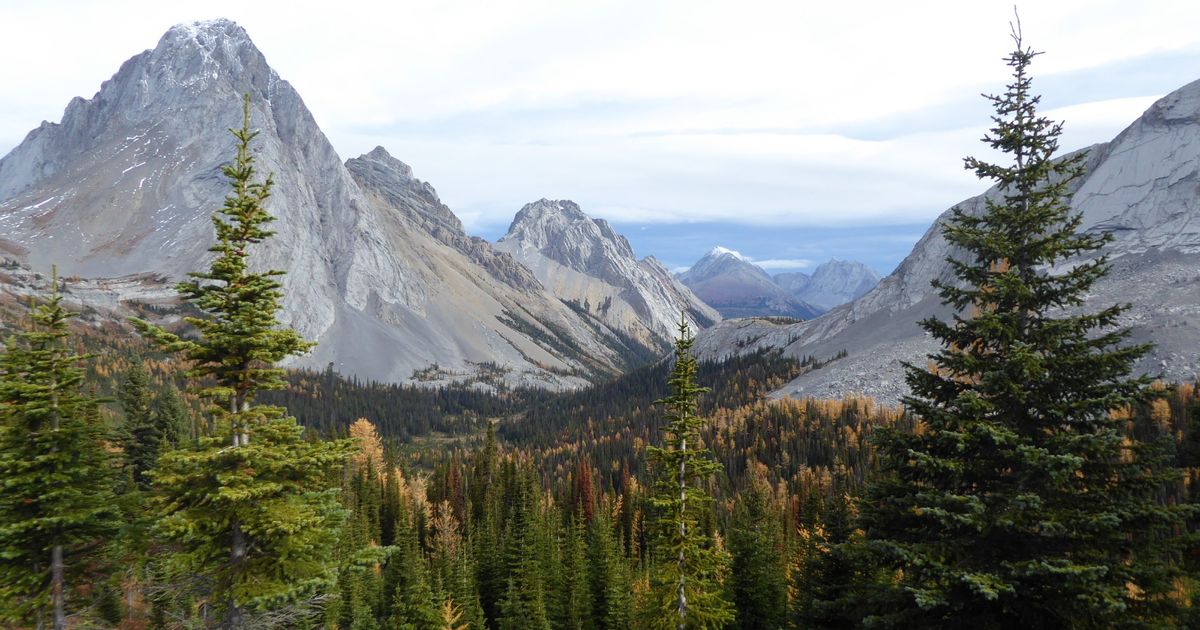 Burstall Pass Hike (Kananaskis Country, AB)