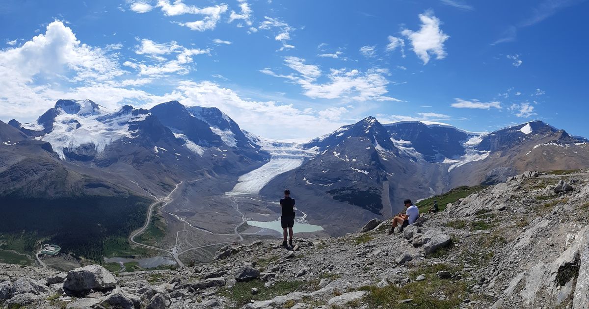 Wilcox Pass Hike (Icefields Parkway, Alberta)