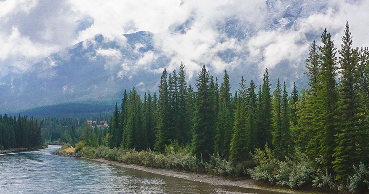 Canmore’s Best Family Vacation | Family Vacation, Canmore