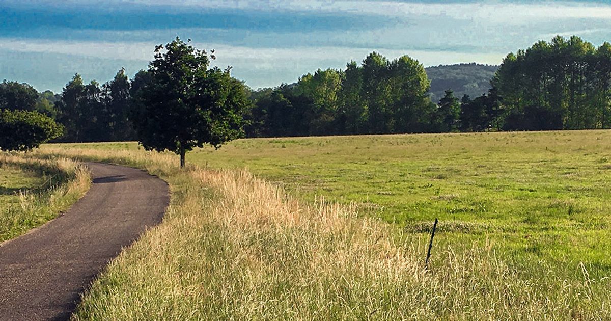 Planning Your Trip to The Chilterns