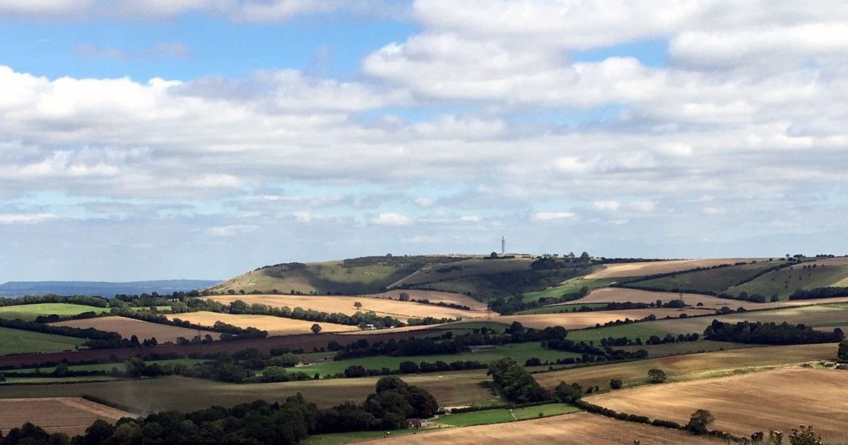 100+ Breathtaking Walks in South Downs National Park
