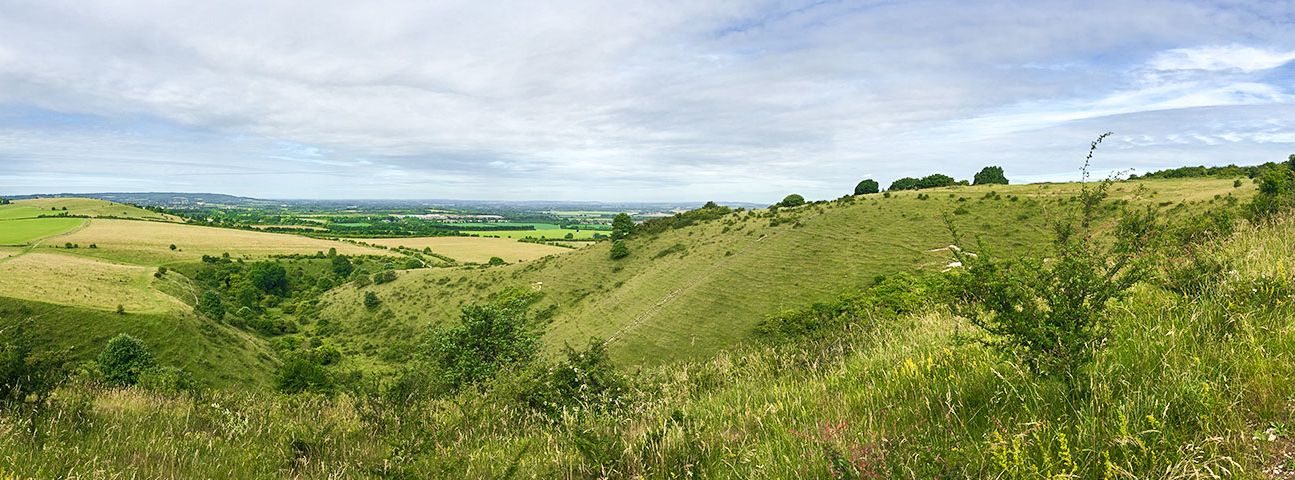 The 80+ Greatest Walks in Chiltern Hills To Do In 2021