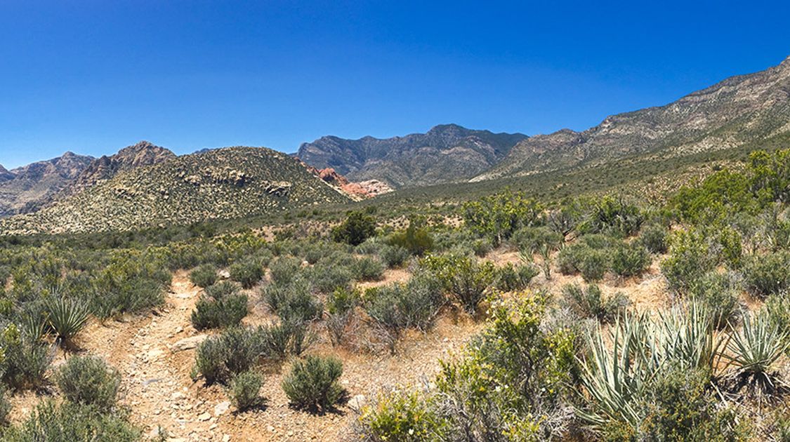 The Best Hikes in Nevada, United States