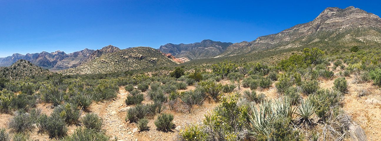 The Best Hikes in Nevada, United States