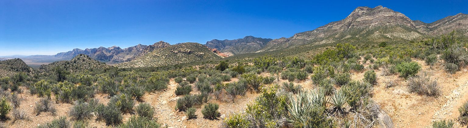 The Best Hikes in Nevada, United States