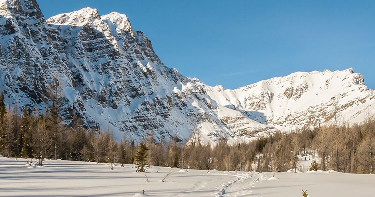 Banff Deals this Winter l Best Winter Deals in Banff