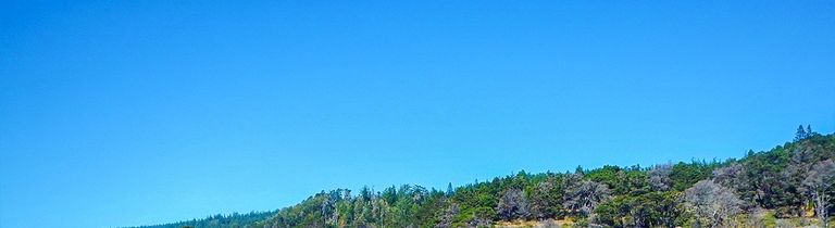 10 Epic Hikes in North Bay, California - 10Adventures