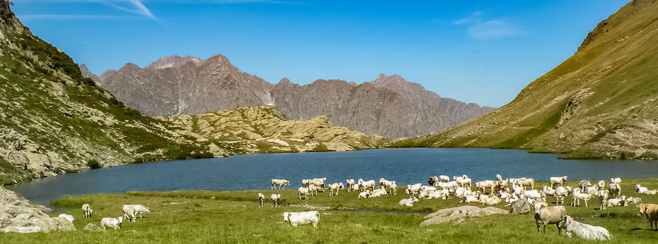 Alpi Marittime Natural Park Hikes, Italy