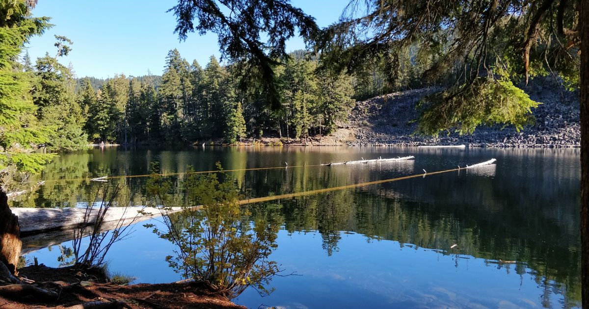 Logger’s Lake | Stroll Around an Ancient Volcanic Crater