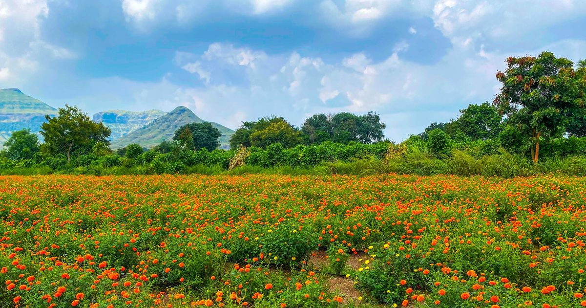 10 Stunning Hikes in the Southwestern Ghats You Have to Do