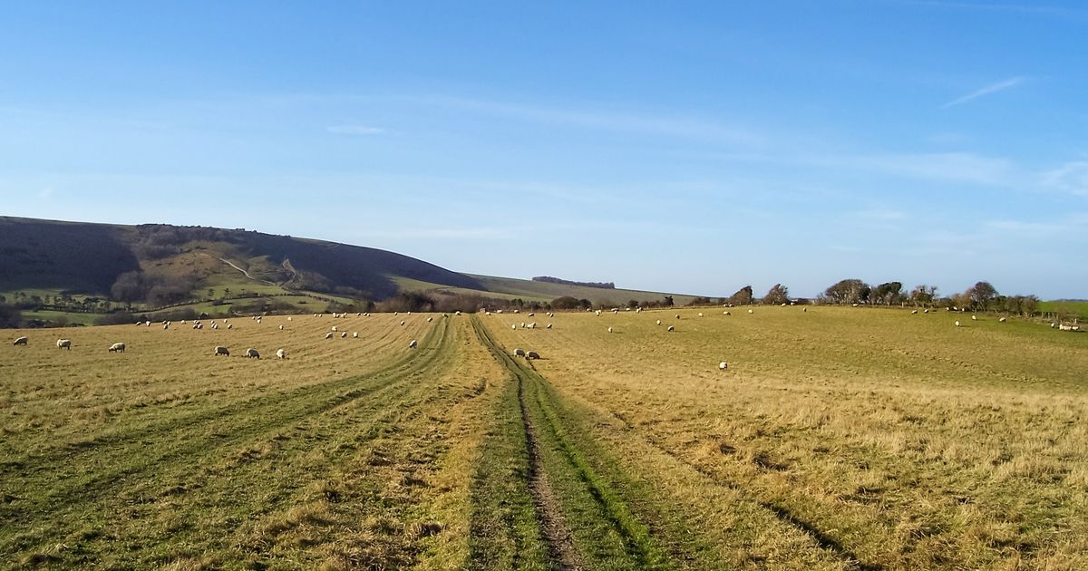 A Guide to Lewes Circular Walk - West Sussex
