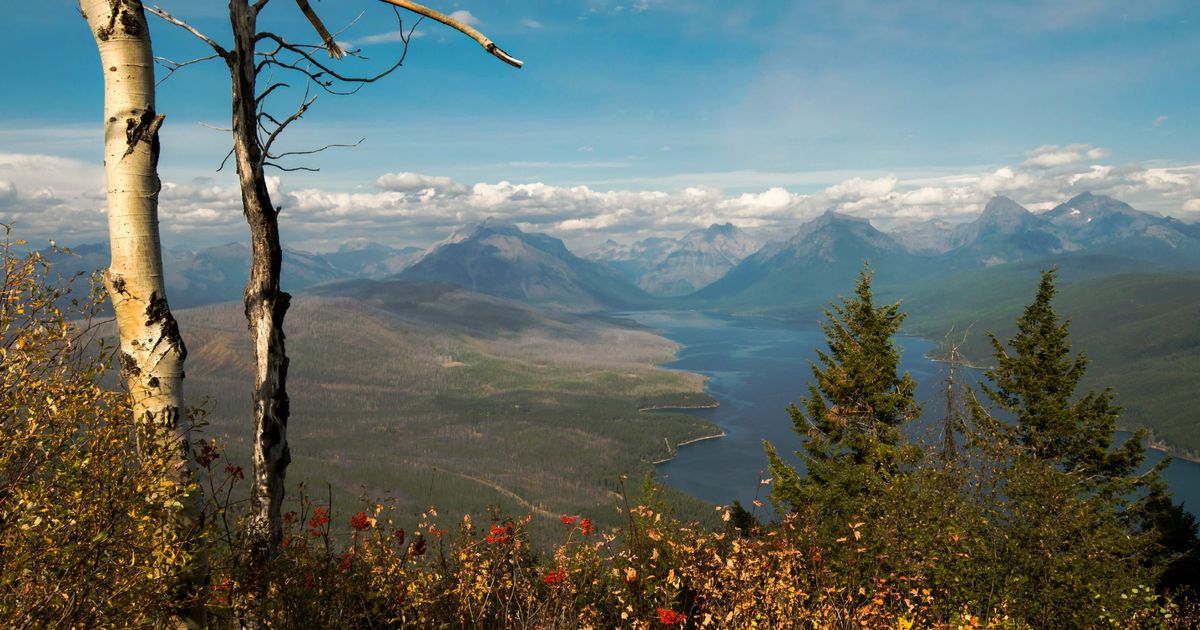 A Guide to Hiking Apgar Lookout Trail - Montana USA