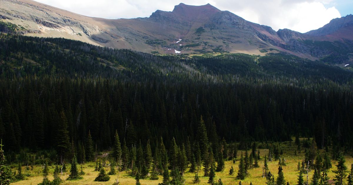 A Guide to Triple Divide Pass - Glacier National Park