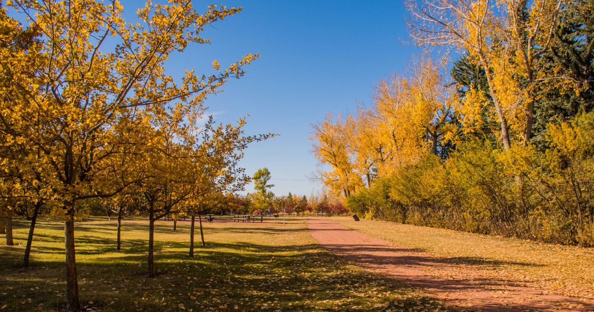 Edworthy Park Loop - Explore Calgary with 10Adventures