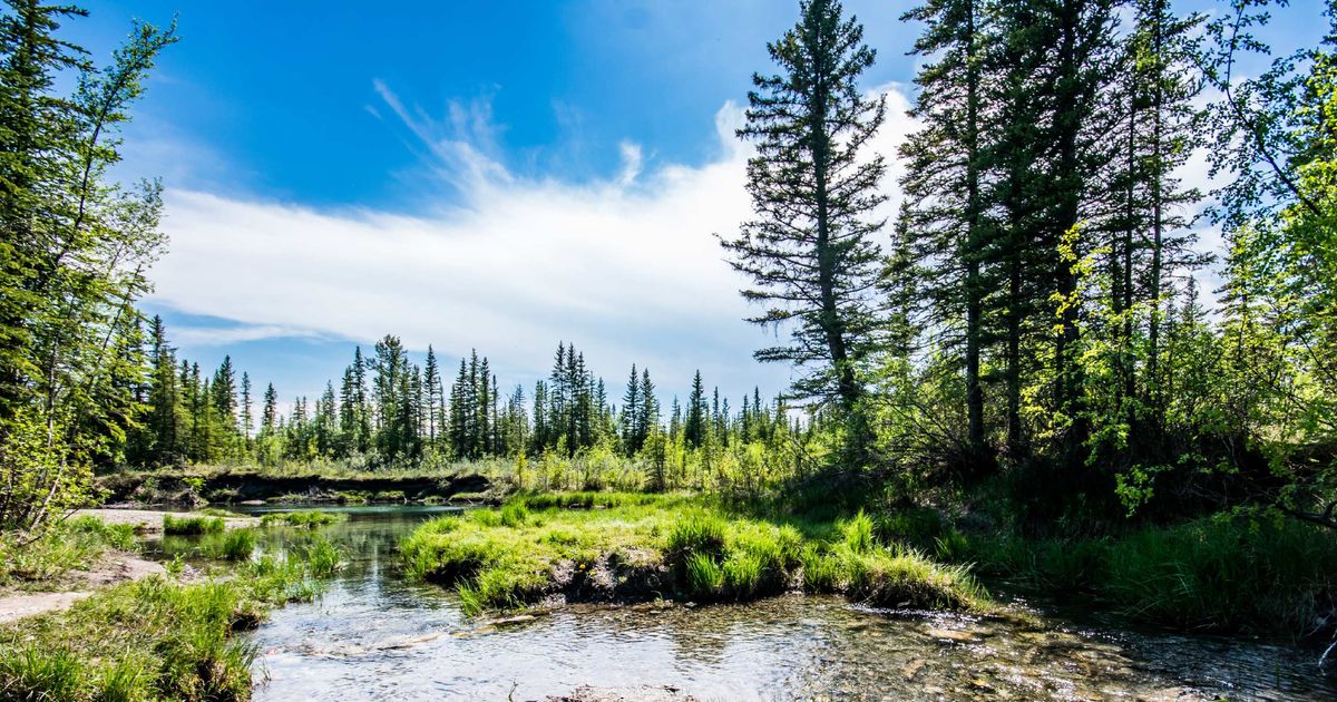 Griffith Woods Park Trail - A 10Adventures Route Guide