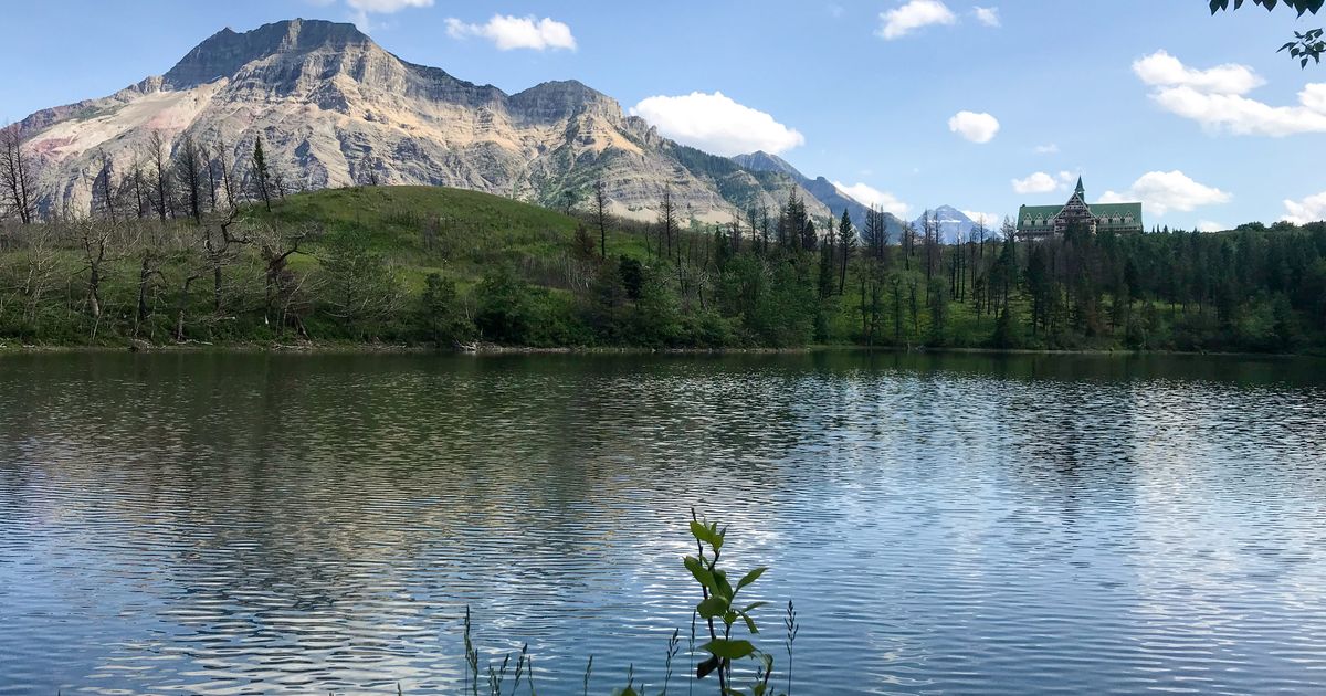 Linnet Lake - An Easy Hike in Waterton National Park