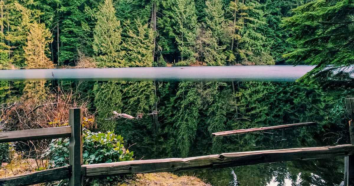 Mundy Park Trail - A Shady Hike in Coquitlam’s Largest Park