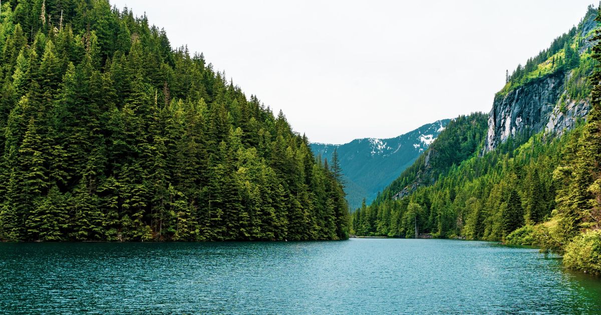 A Guide to the Scenic Lindeman Lake Trail