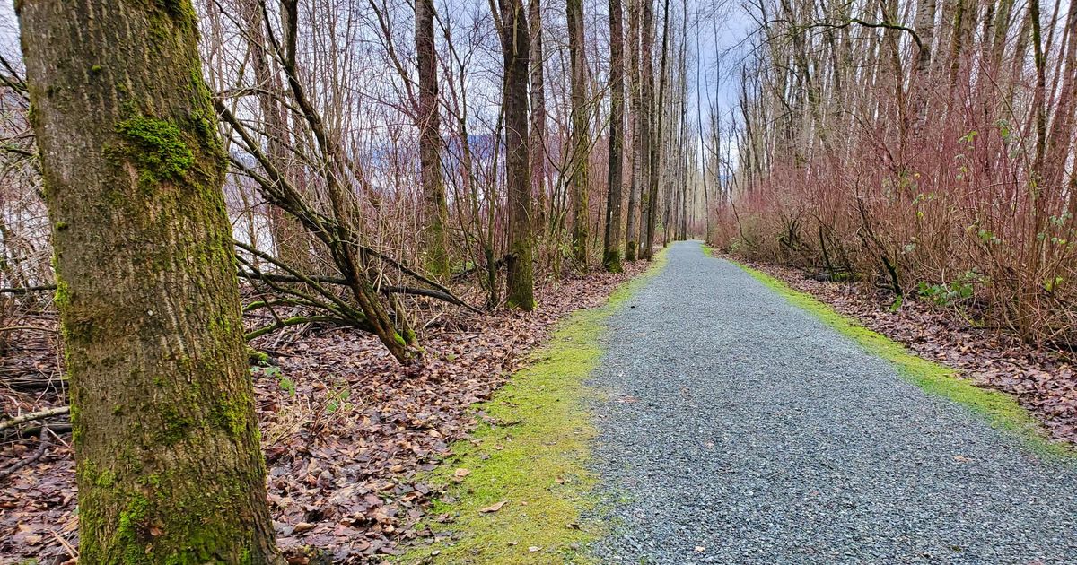 Matsqui Trail | A Long Riverside Hike Near Mission, BC