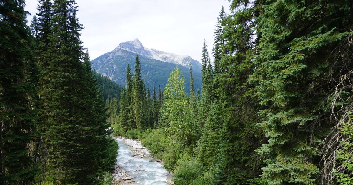Abbott Ridge Trail | Amazing Views in Glacier National Park