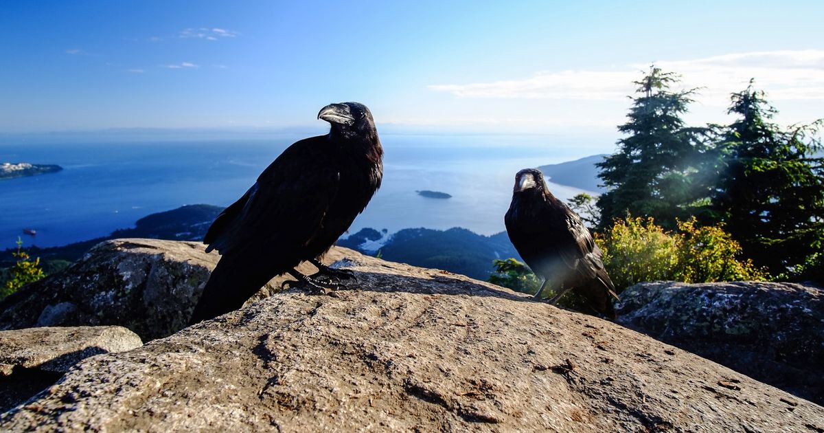 Hike to Eagle Bluffs via Black Mountain - Vancouver, BC