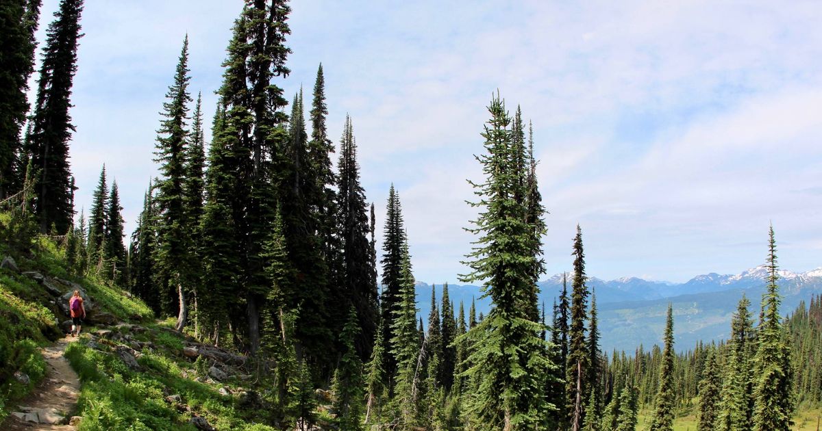 Summit Trail - Panoramic Views From Atop Mount Revelstoke
