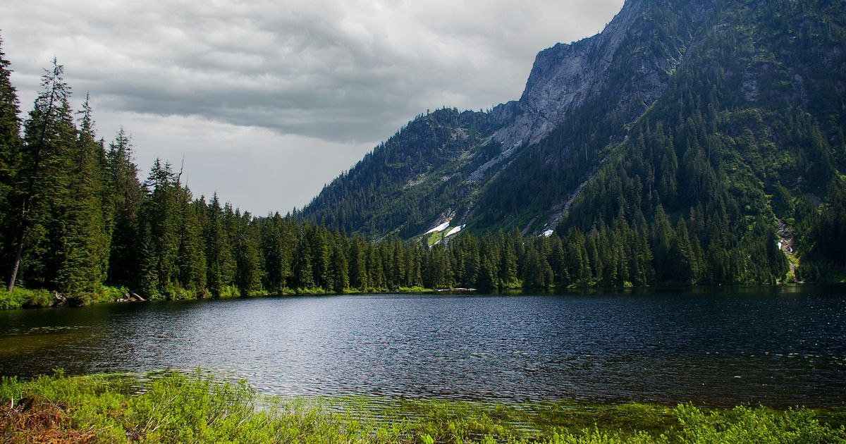 Elsay Lake Trail - A Truly Wild Backcountry Trail in BC