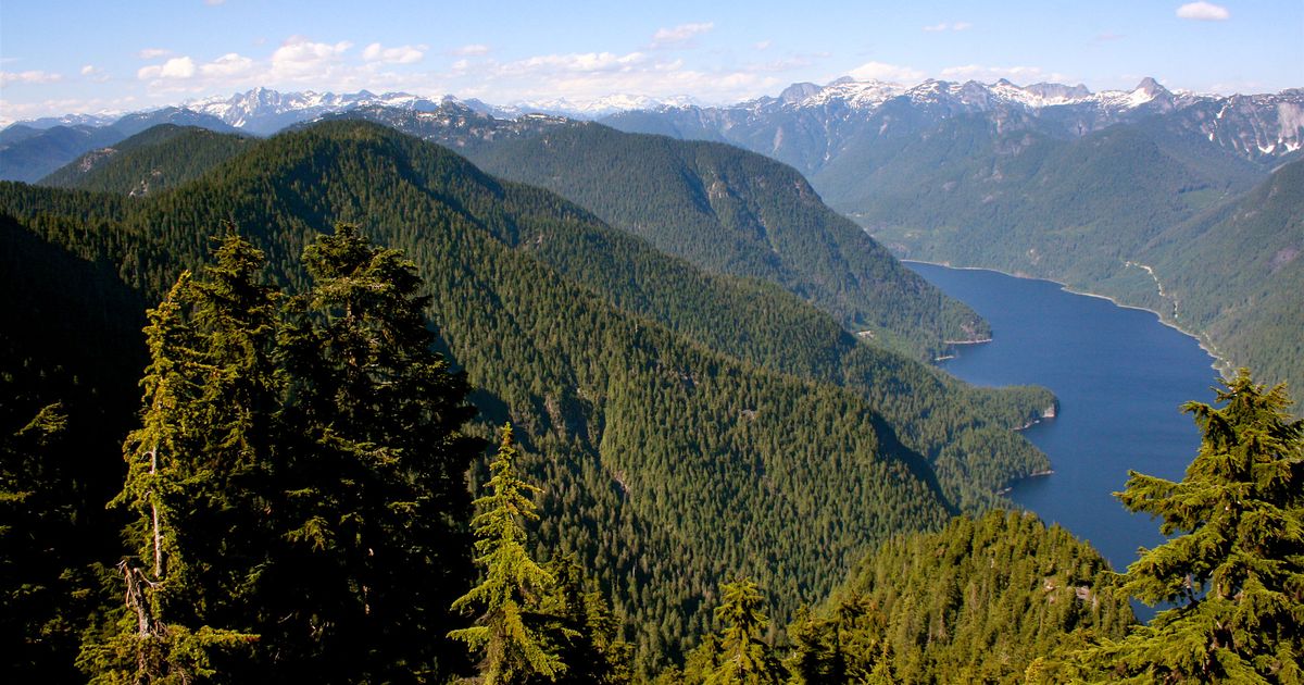 Indian Arm Trail - A Secluded Trail from Deep Cove, BC