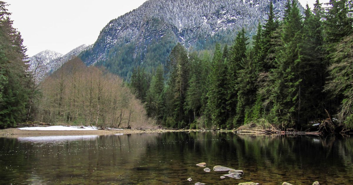 Fisherman’s Trail - Explore the Banks of the Seymour River