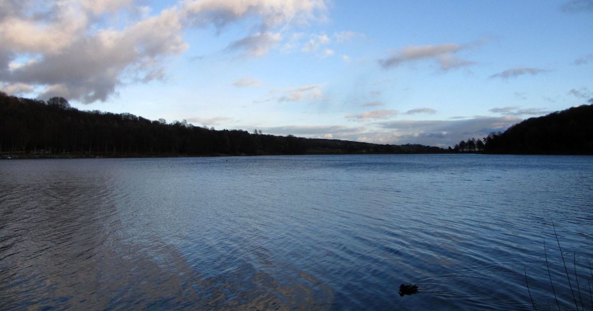 Damflask Reservoir Walk - A Calming Stroll, South Yorkshire