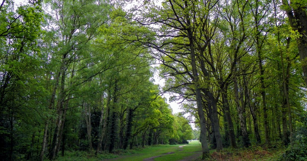 The Chess Valley and the Cricketers Walk | Chilterns, UK