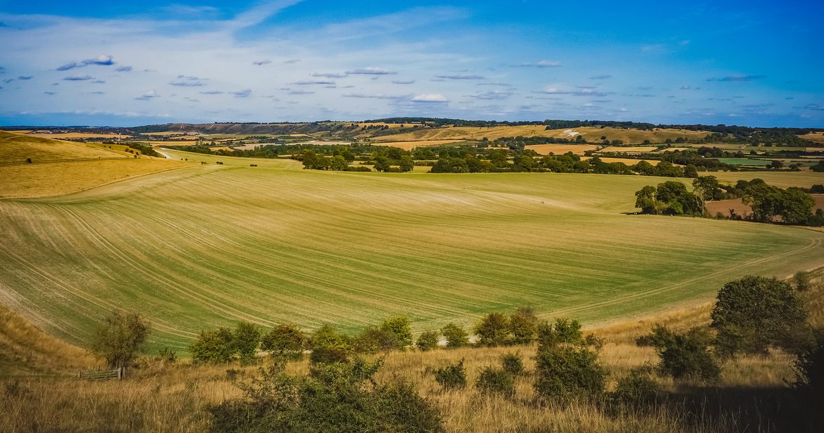 The Rose and Crown Ivinghoe Beacon Walk | Chiltern Hills