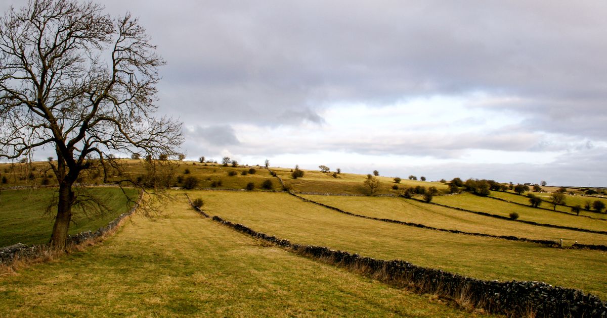 Miller’s Dale Circular Walk | Explore Peak District N.P.