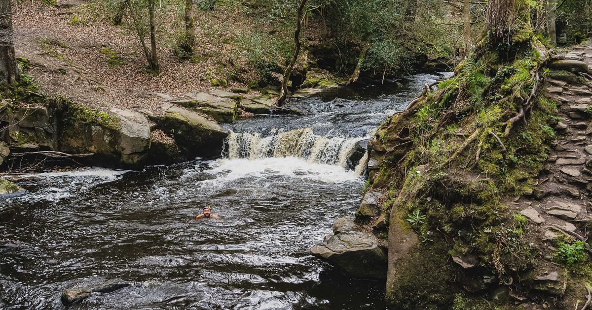 Rivelin & Redmires Walk - Explore a Tranquil Forest Setting