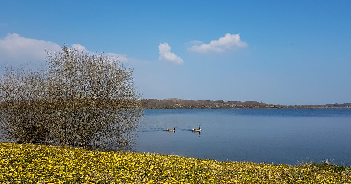 A Guide to the Arlington Reservoir Walk - East Sussex