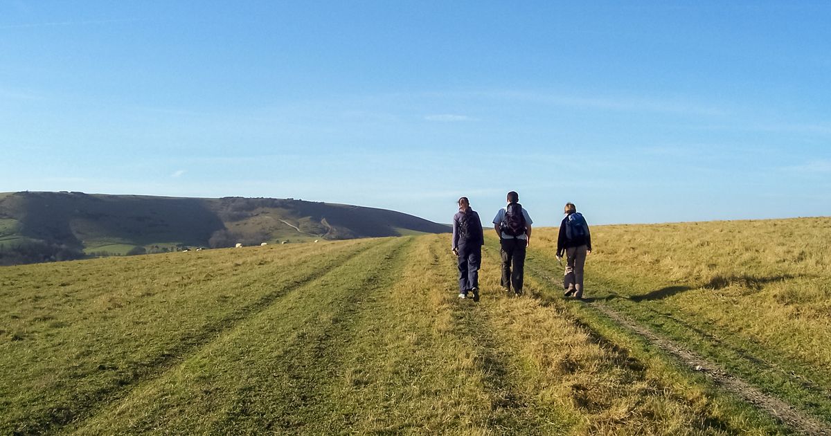 A Wonderful Discovery of Lewes and Kingston Circular Walk
