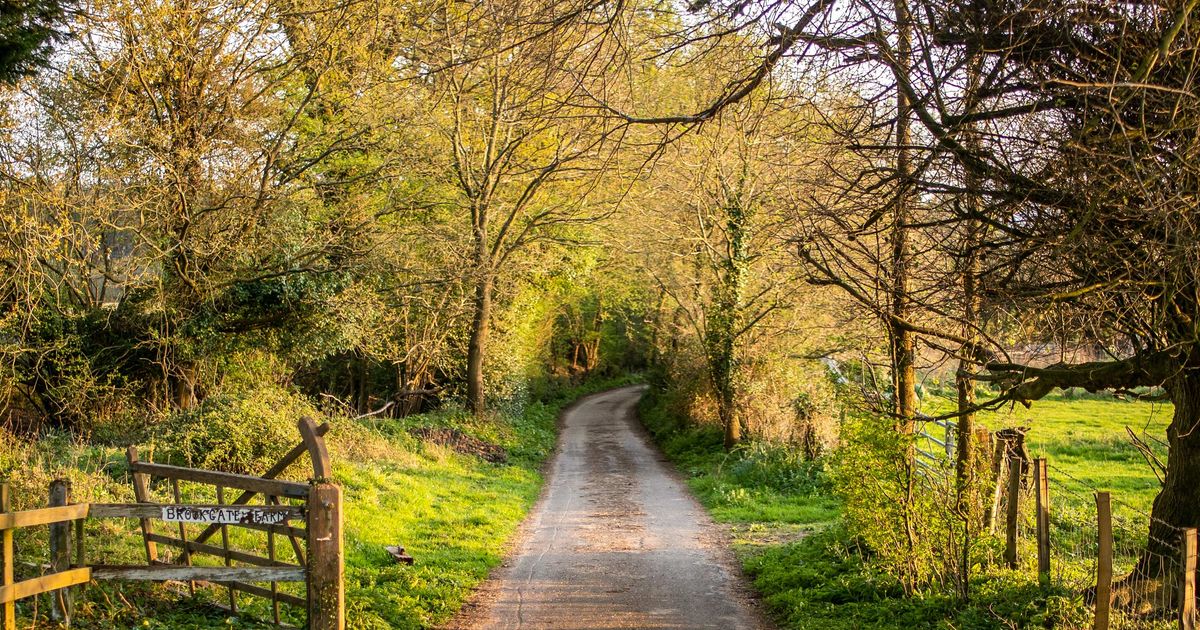 A Guide to the North Marden Circular Walk - 10Adventures