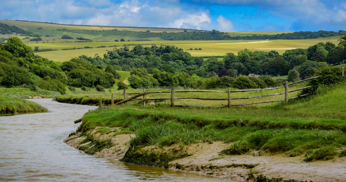 A Guide to the Family-Friendly River Cuckmere Walk