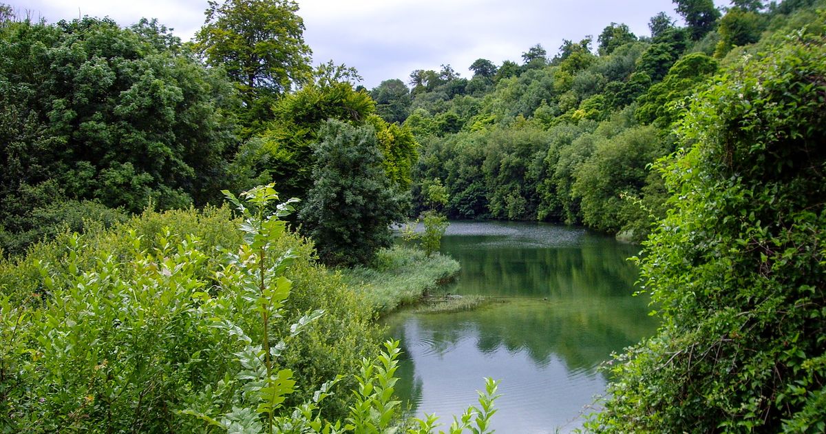 A Guide to Swanbourne Lake Walk - West Sussex, England