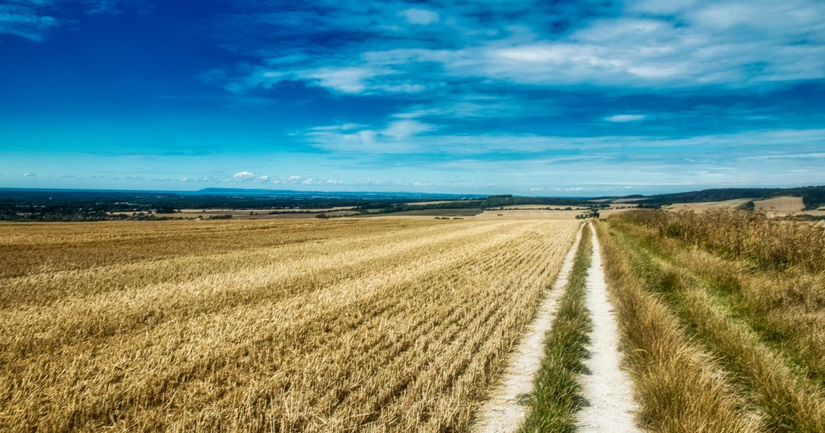 A Guide to the Trundle and Devils Humps Walk - 10Adventures