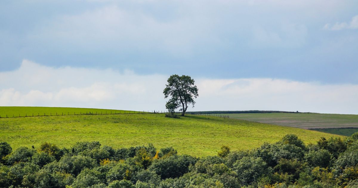 A Guide to the East Meon Circular Walk - Hampshire