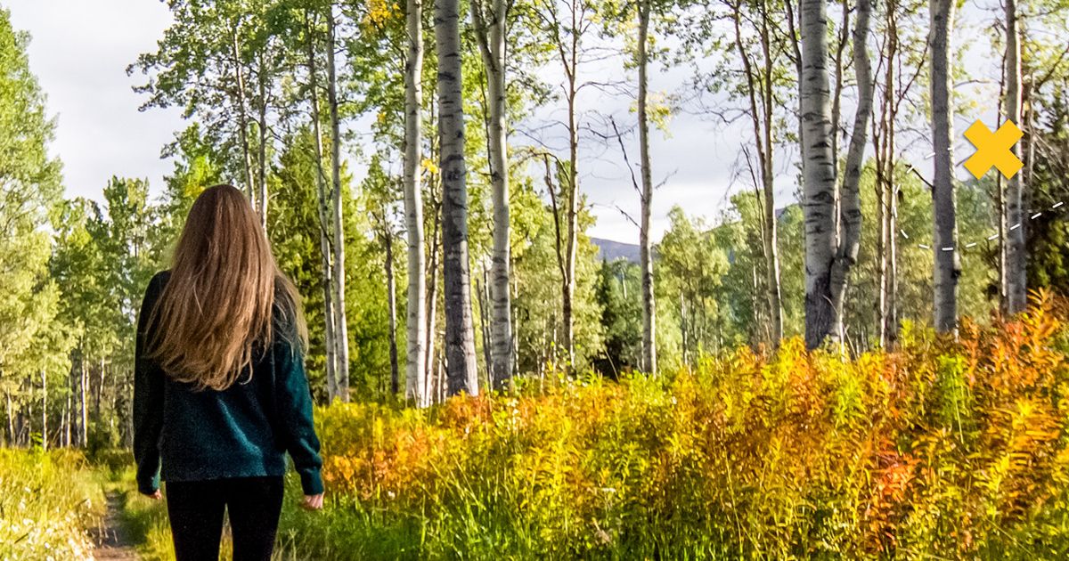 West Lake Loop | Hike the Clearwater River | Wells Gray PP