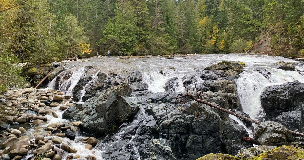 Englishman River Falls Trail | Stunning Canyon Waterfall