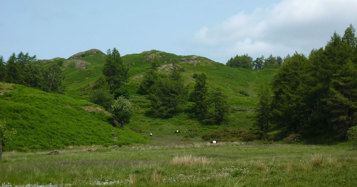 Black Fell and Tarn Hows Circular Walk| Lake District