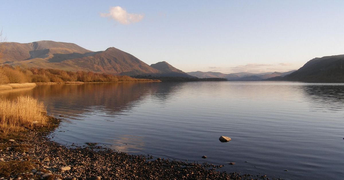 Osprey Viewpoint & Bassenthwaite Lake Walk | Lake District