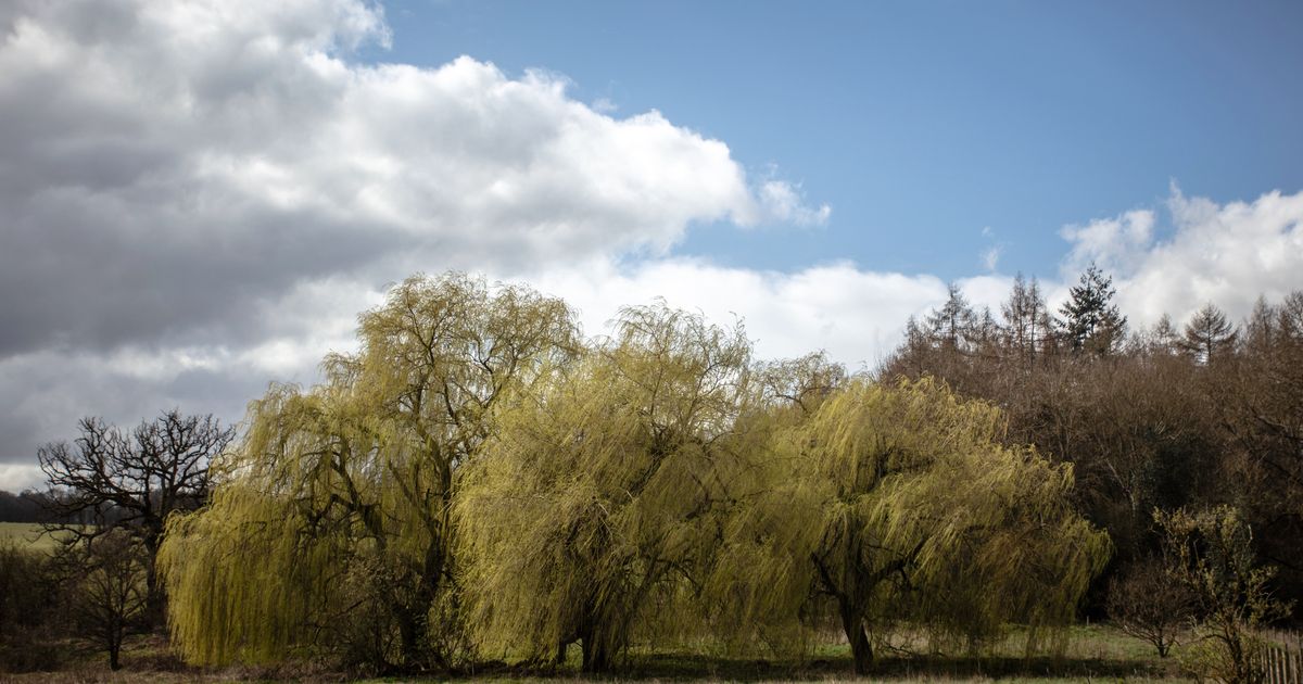 Chess Valley from Rickmansworth Walk | Chilterns, UK