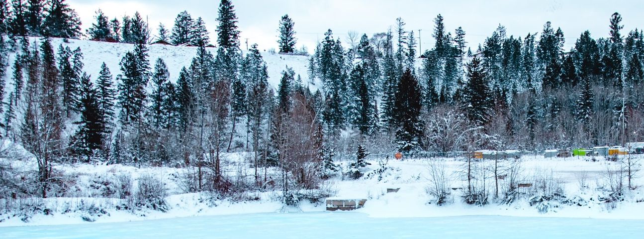 The Best Hiking Routes in Invermere, British Columbia