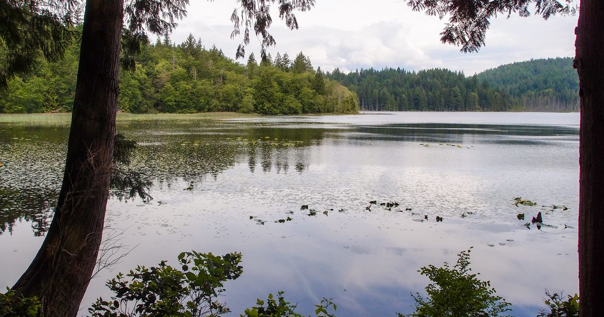 Killarney Lake | Breathtaking Lakeside Hike on Bowen Island