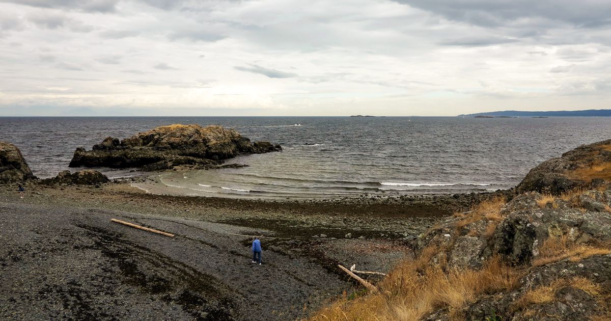 Neck Point Park Loop Trail | Enjoy Stunning Coastal Views