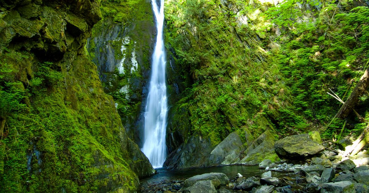 Goldstream Falls Hike | Explore Goldstream Provincial Park